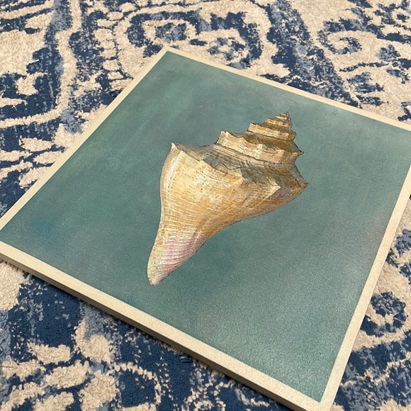 Wall Decor | Seashell Canvas Picture | Poshmark